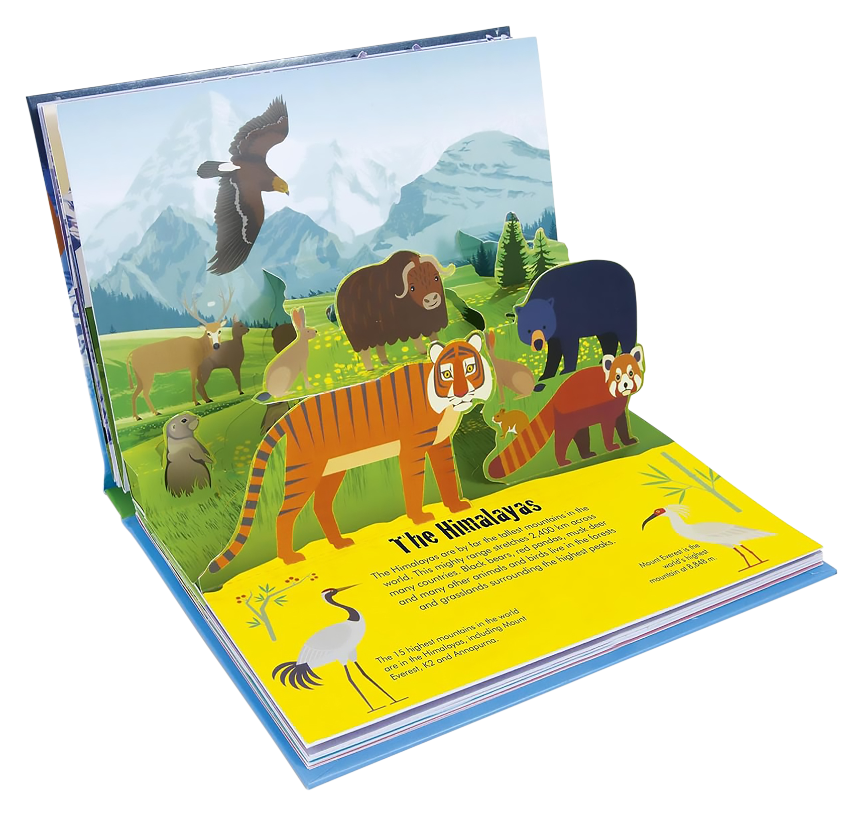 Nature Pop-Up! Mountains Pop-Up Book by David Hawcock | Bass Pro Shops